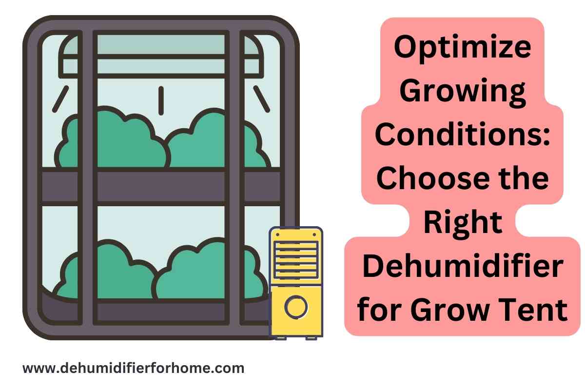 Optimize Growing Conditions: Choose the Right Dehumidifier for Grow Tent